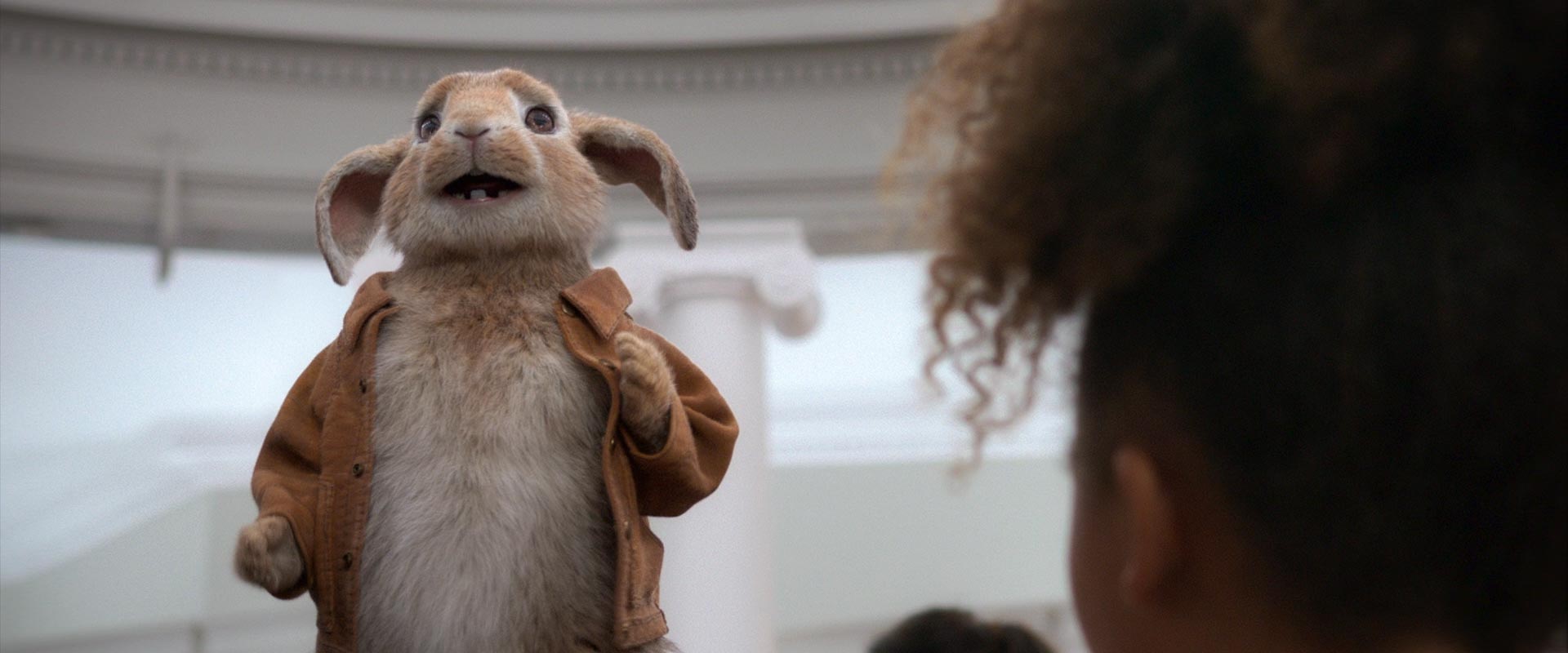 Peter Rabbit – Film